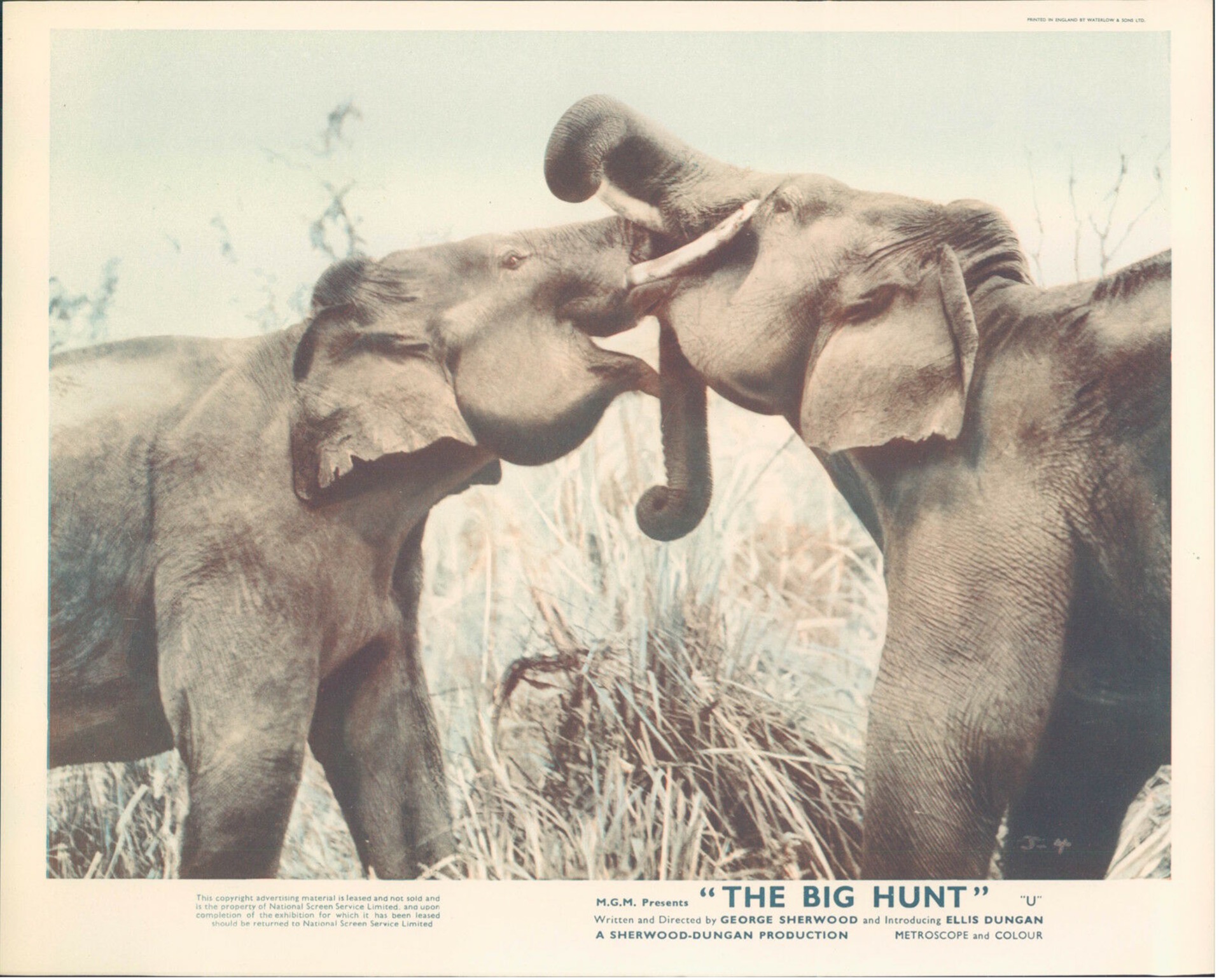 A Night At The Movies - Juba in the Making